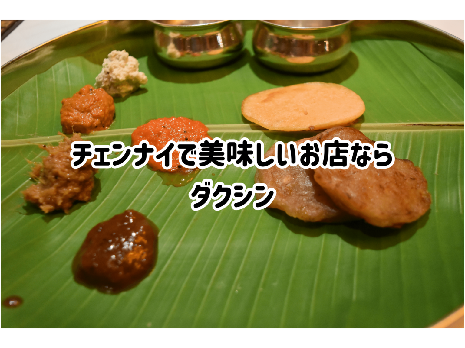 チェンナイで美味しい南インド料理を食べるならダクシンがおすすめ！ | MAYUK0 ILLUSTRATION