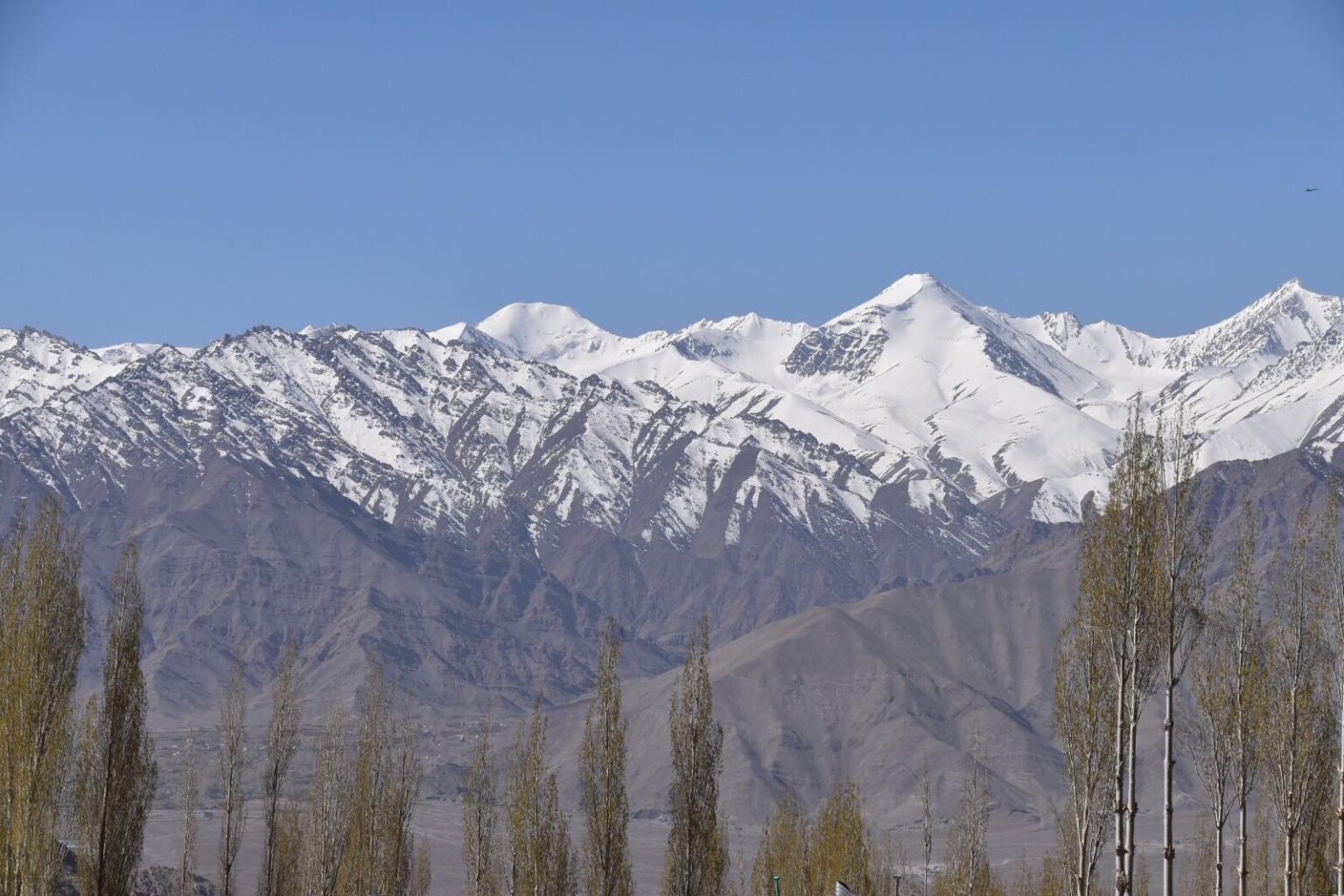 インド ラダック地方の服装と持ち物について | MAYUK0 ILLUSTRATION